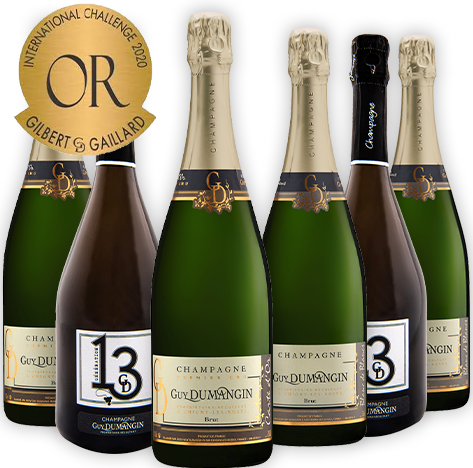 CHAMPAGNE GUY DUMANGIN - | Vignerons indépendants de Champagne